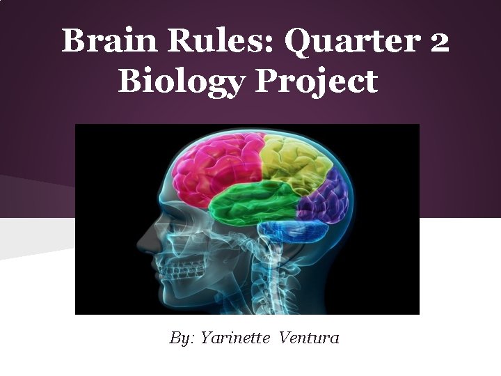 Brain Rules Quarter 2 Biology Project By Yarinette