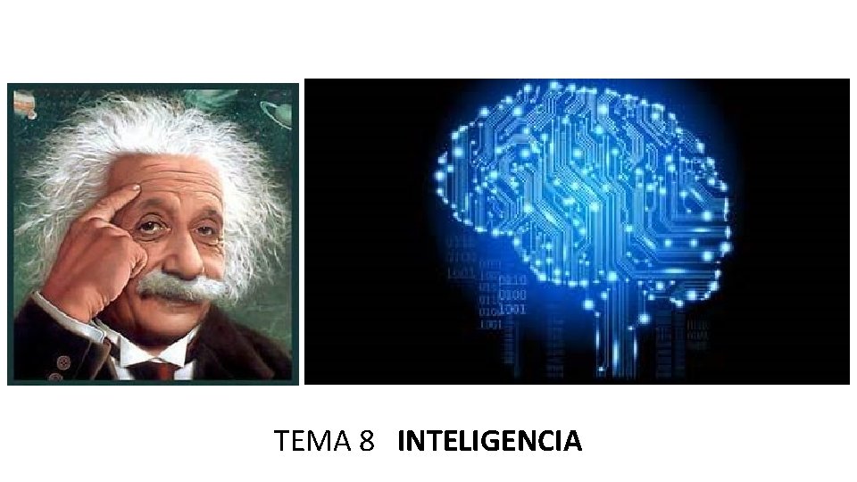 TEMA 8 INTELIGENCIA Qu es la inteligencia Existen