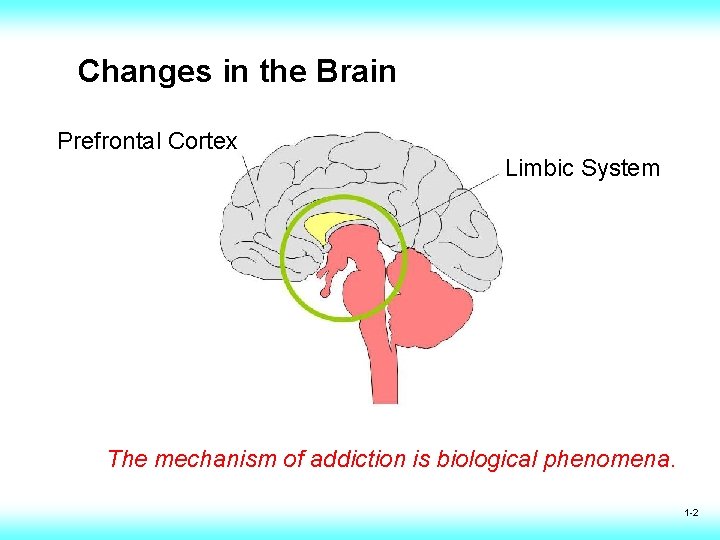 PsychoEducation for Patients and Family Members Session 1