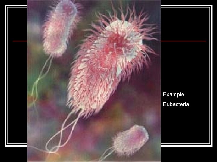 Unit 4 Pre AP Biology Day 6 Review