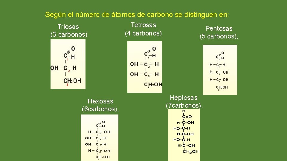 Unidad Transformaciones Bioqumicas de los carbohidratos y Protenas