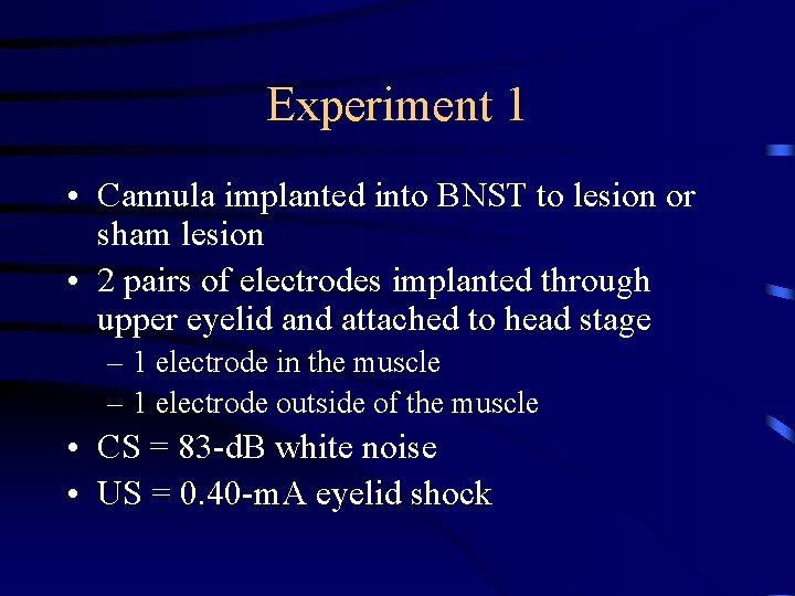 The Bed Nucleus of the Stria Terminalis Is