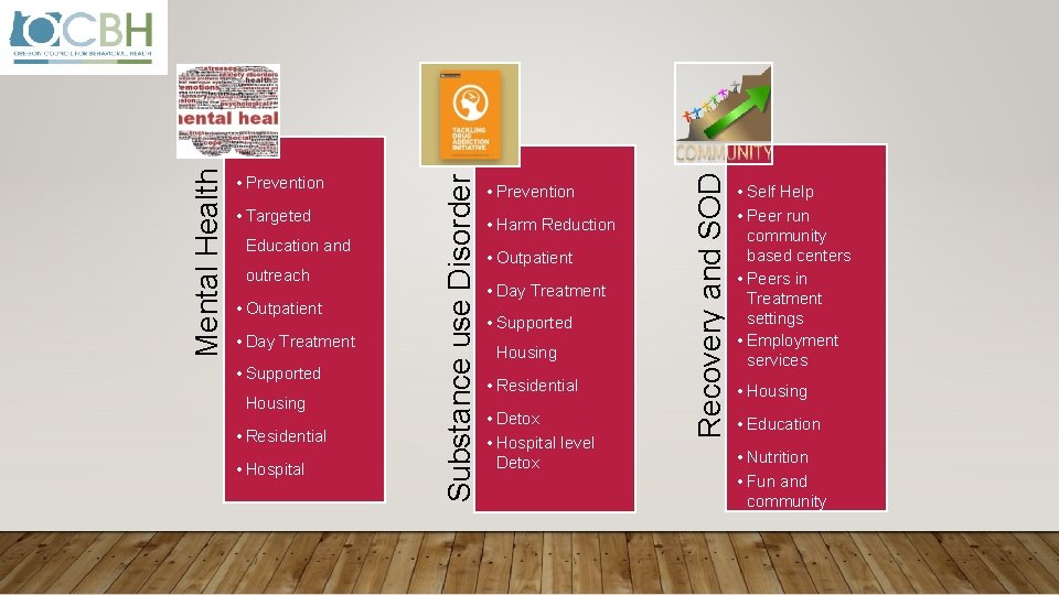 BEHAVIORAL HEALTH NON PROFIT AND PRIVATE OPERATIONS Goal