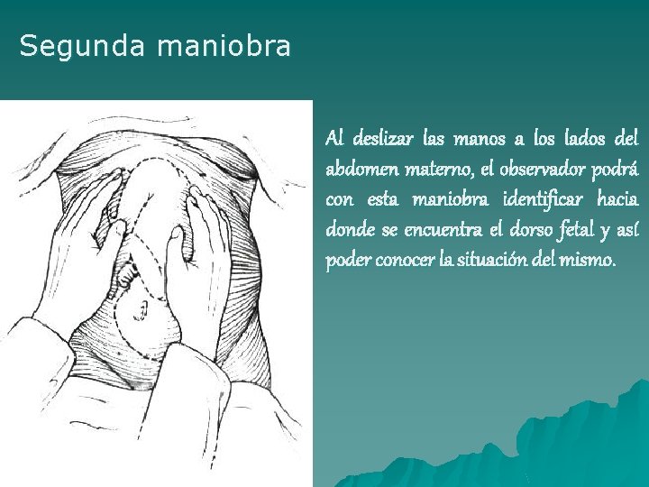 EXPLORACIN FSICA SERGIO DAVID DE LA PAZ WALKER