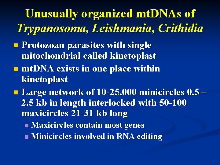The Chromosomes of Organelles Outside the Nucleus Exhibit