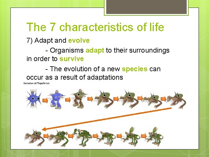 Characteristics of Life Standard SCSh 1 Students will
