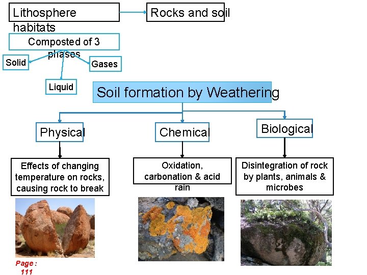 Microbes Lithosphere Relationshi p between Microbes Land Soil