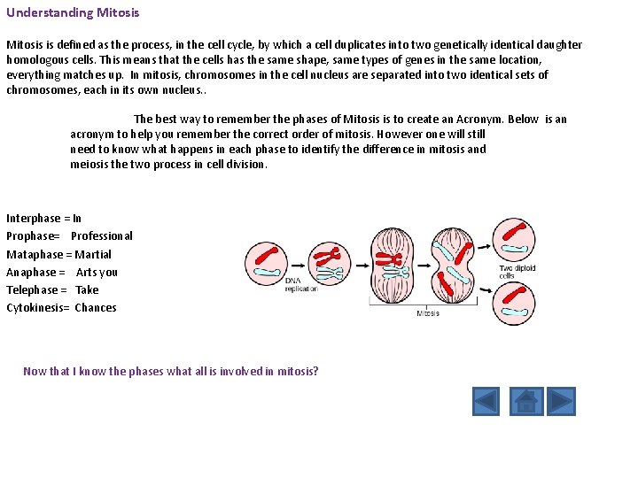 Chanda Robinson Mitosis vs Meioses How to Use