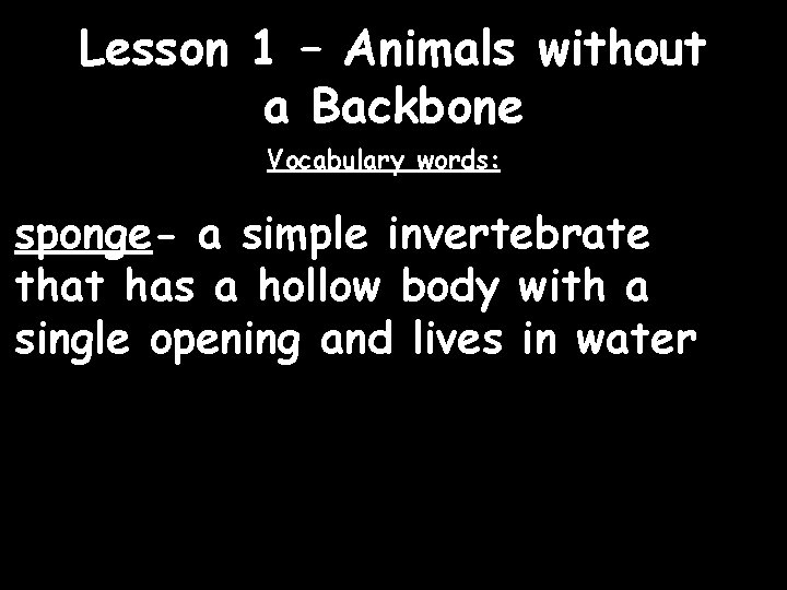 Lesson 1 Animals without a Backbone Vocabulary words
