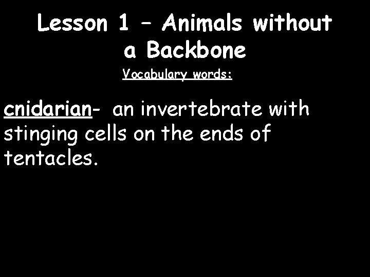 Lesson 1 Animals without a Backbone Vocabulary words