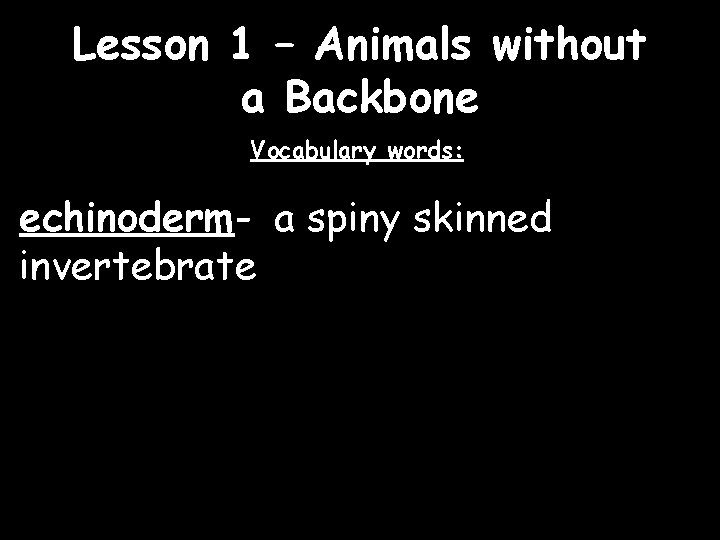 Lesson 1 Animals without a Backbone Vocabulary words