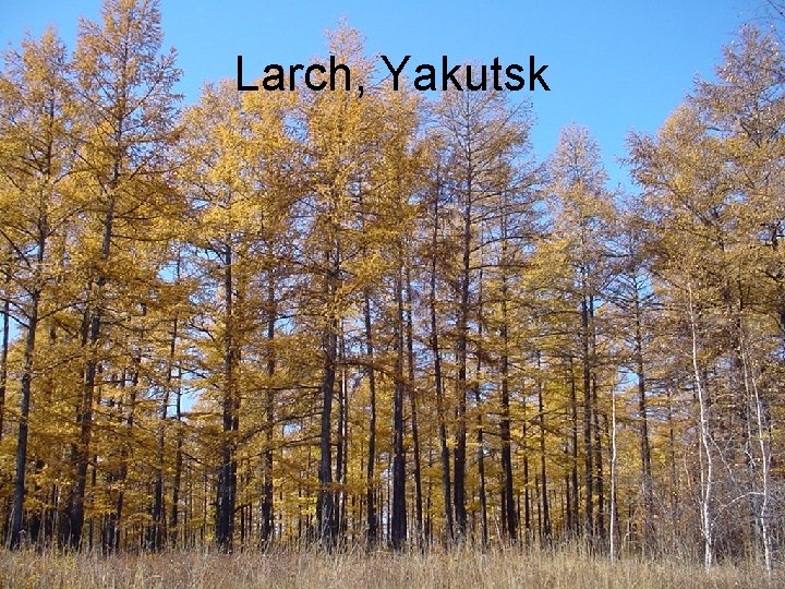 Excursion for understanding different sites in Siberia 11