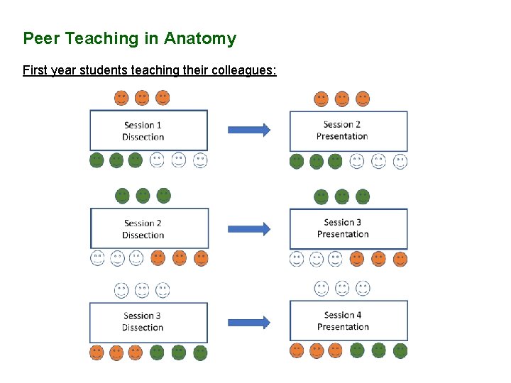 Bioethics in Anatomy Education Resources Peer Teaching in