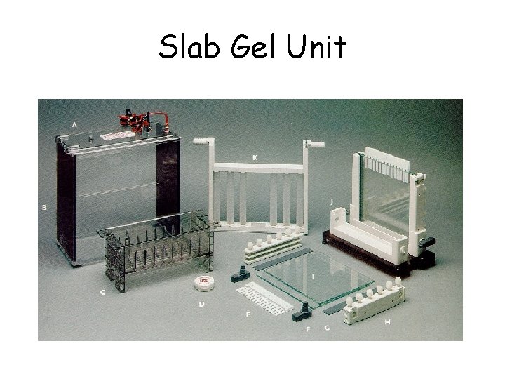 ELECTROPHORESIS By Dr Johnson Baby Associate Professor in