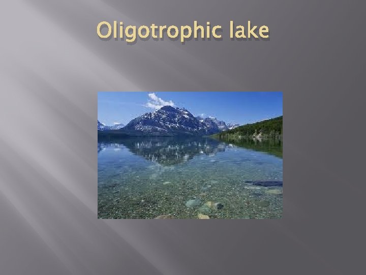 AN INTRODUCTION TO ECOLOGY AND THE BIOSPHERE Ecology