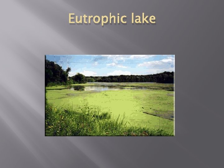 AN INTRODUCTION TO ECOLOGY AND THE BIOSPHERE Ecology