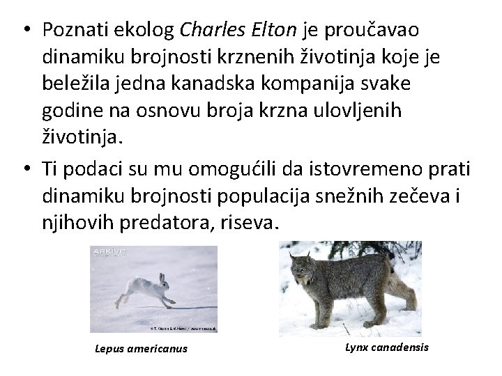 INTERSPECIJSKI ODNOSI Predator plen model LotkaVolterra model i