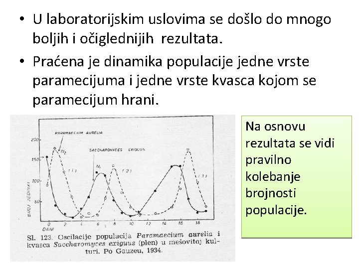 INTERSPECIJSKI ODNOSI Predator plen model LotkaVolterra model i