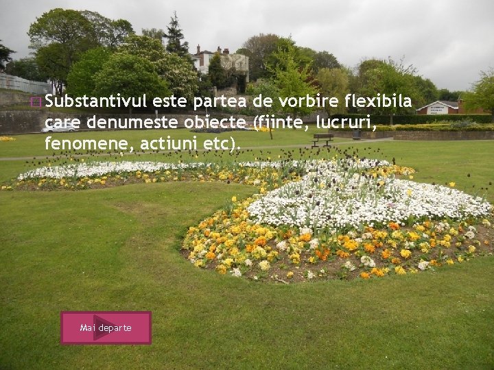 TEODORESCU ANCAGABRIELA Limba si literatura romana Clasa a