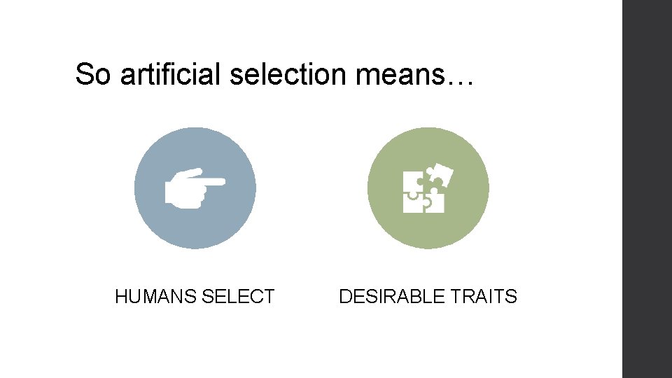 Artificial Selection Learning intention I can describe a