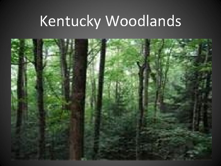 Wildlife Habitat Requirements Agriscience Mr Bailey Kentucky Rolling