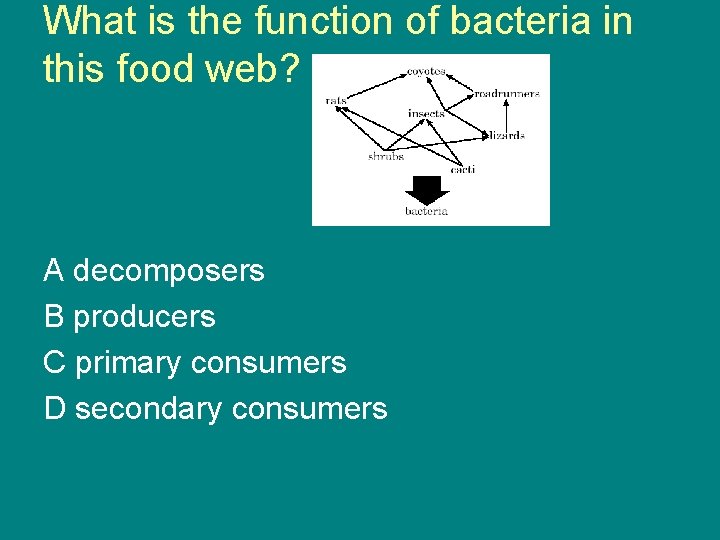 Use this diagram of a food web to