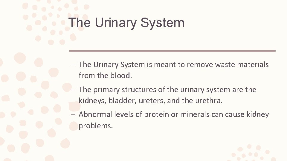 Animal Science Day 3 Anatomy Bell Ringer 1