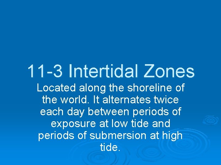 11 3 Intertidal Zones Located along the shoreline