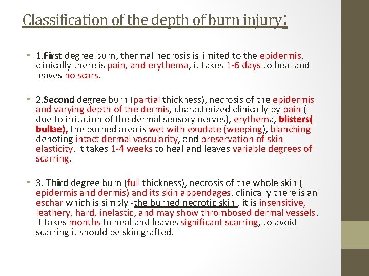 Burns Tasneem Anagreh intro Functions of the Skin