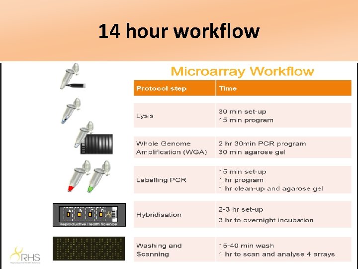 The Analysis of Blastomere and Trophectoderm Whole Genomic