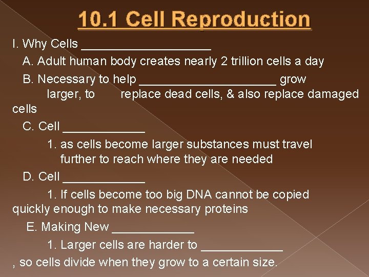 10 1 Cell Reproduction I Why Cells A