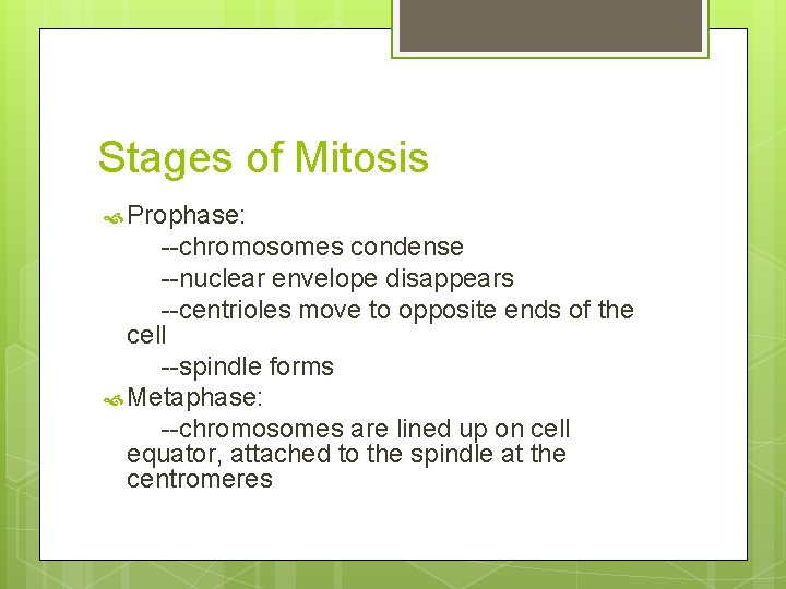 Mitosis and Meiosis By Yousef AbuSalah Chromosomes Key