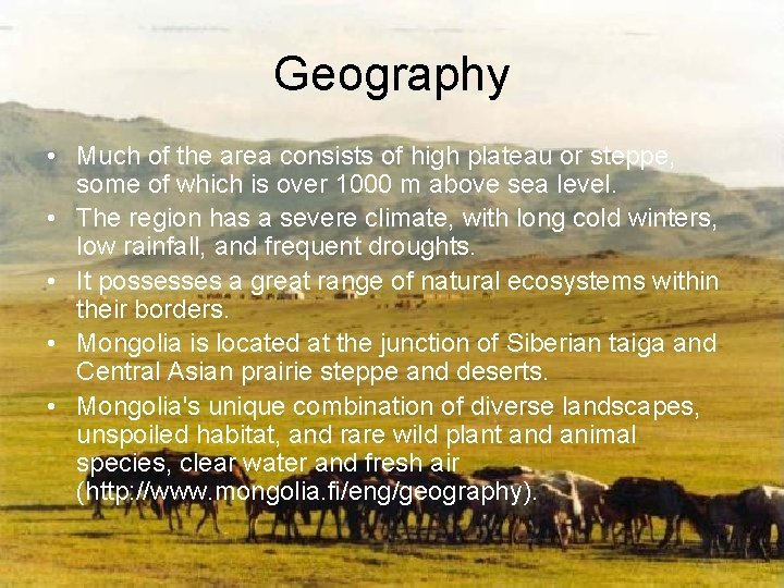 Chapter 12 The Rise of the Mongols 1200