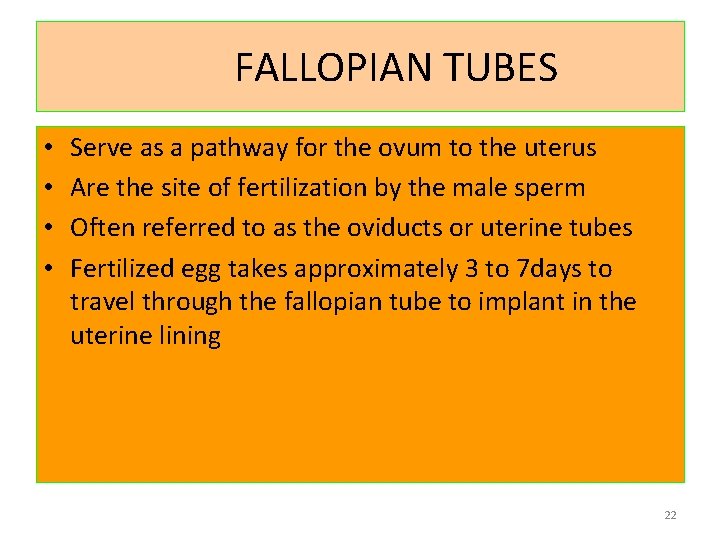 Embryology and anatomy of the female genital tract