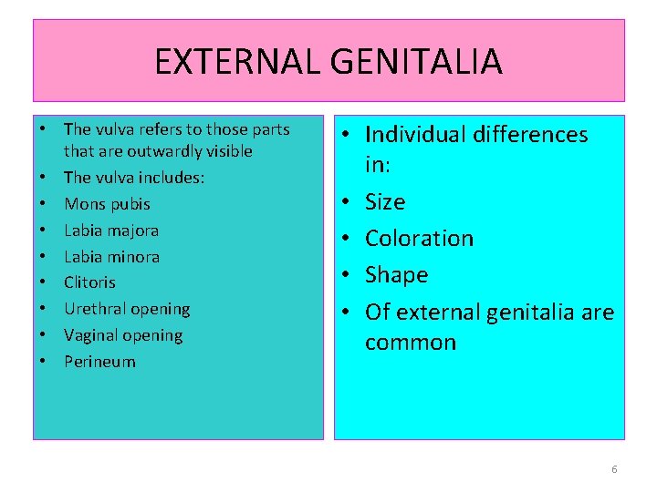 Embryology and anatomy of the female genital tract