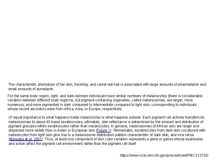 SKIN COLOR The wide variety of colors in