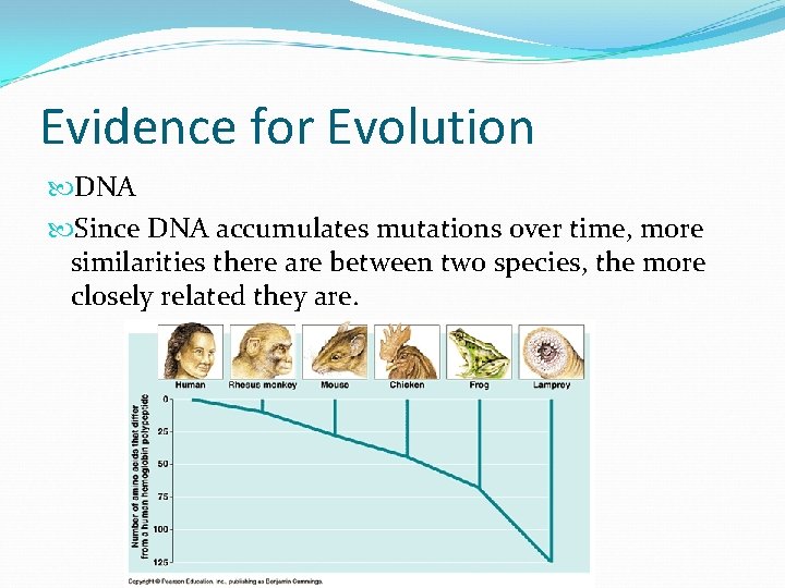 The Quick and Dirty Evolution Review The Earth