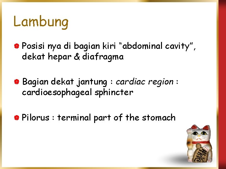 Sistem Pencernaan digestive system Bahan kuliah Anatomi fisiologi