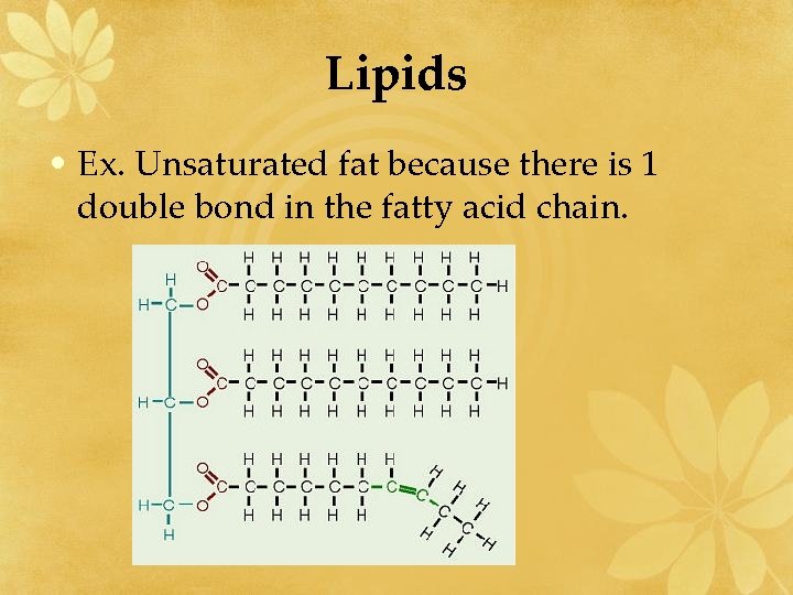 Macromolecules Moretz Biology Ch 2 Outline Introduction Carbon