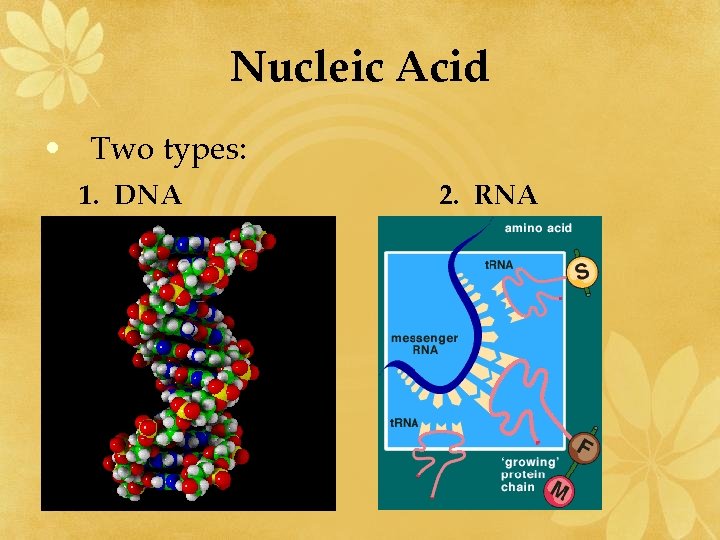 Macromolecules Moretz Biology Ch 2 Outline Introduction Carbon