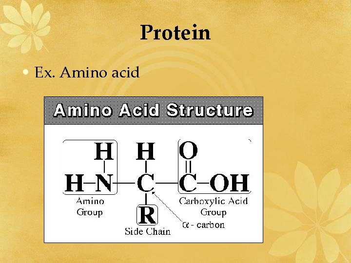 Macromolecules Moretz Biology Ch 2 Outline Introduction Carbon