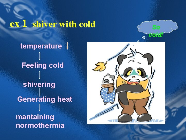 Animal physiology What is Physiology What is animal