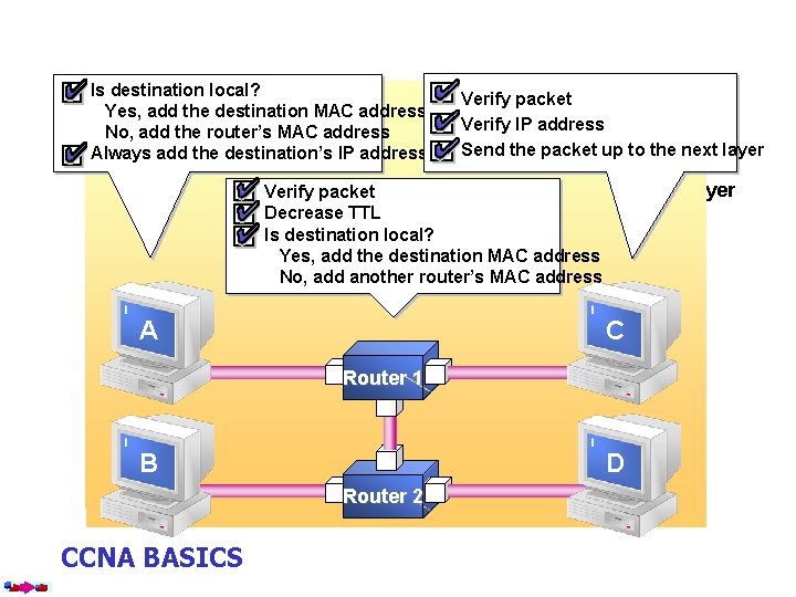 CHAPTER 4 IP ADDRESSING CCNA BASICS SOME BASIC