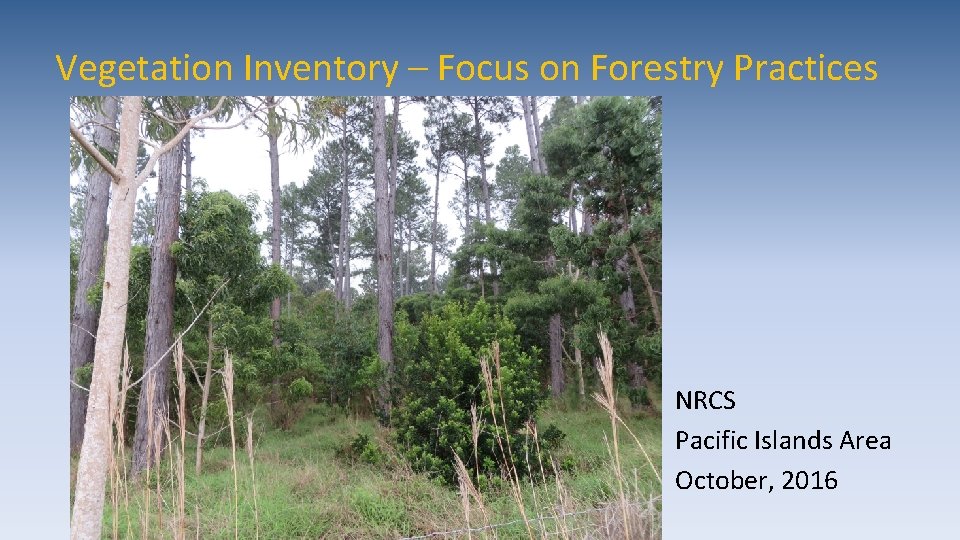 Vegetation Inventory Focus on Forestry Practices NRCS Pacific