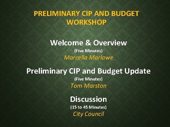 Preliminary C I P and Budget Workshop Printed