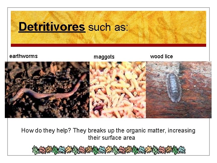 Breaking down nature style Mnemonic n D n