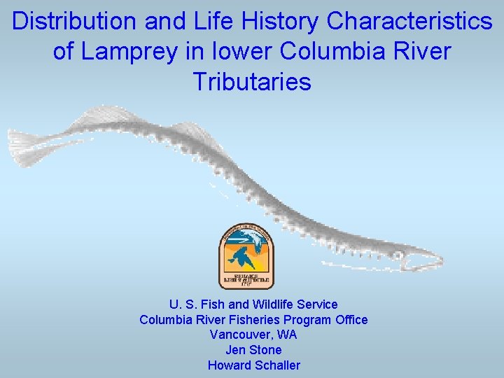 Distribution and Life History Characteristics of Lamprey in