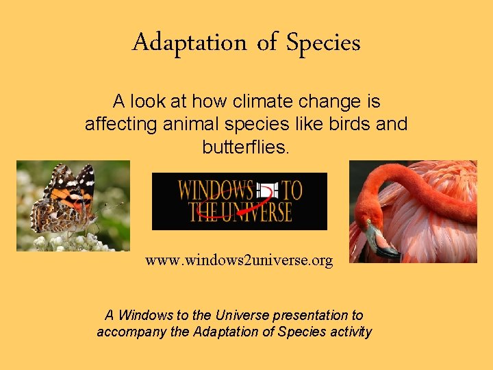 Adaptation of Species A look at how climate