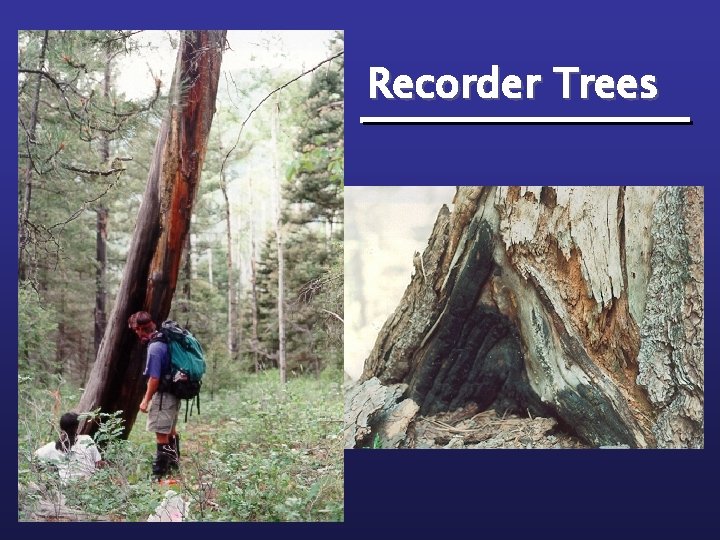 Introduction to Dendrochronology and Fire Histories Dendrochronology ...