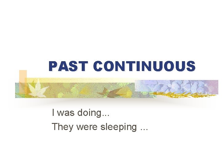 PAST CONTINUOUS I was doing They were sleeping